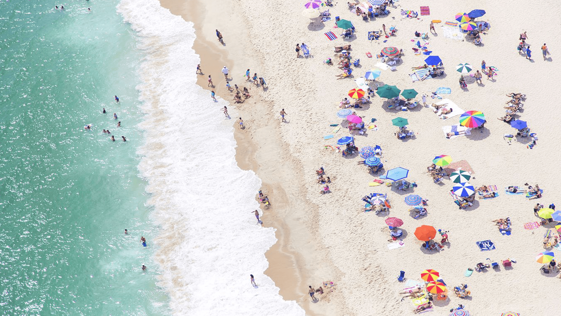 30 Funny Zoom Backgrounds You Need in Your Life! - tldv